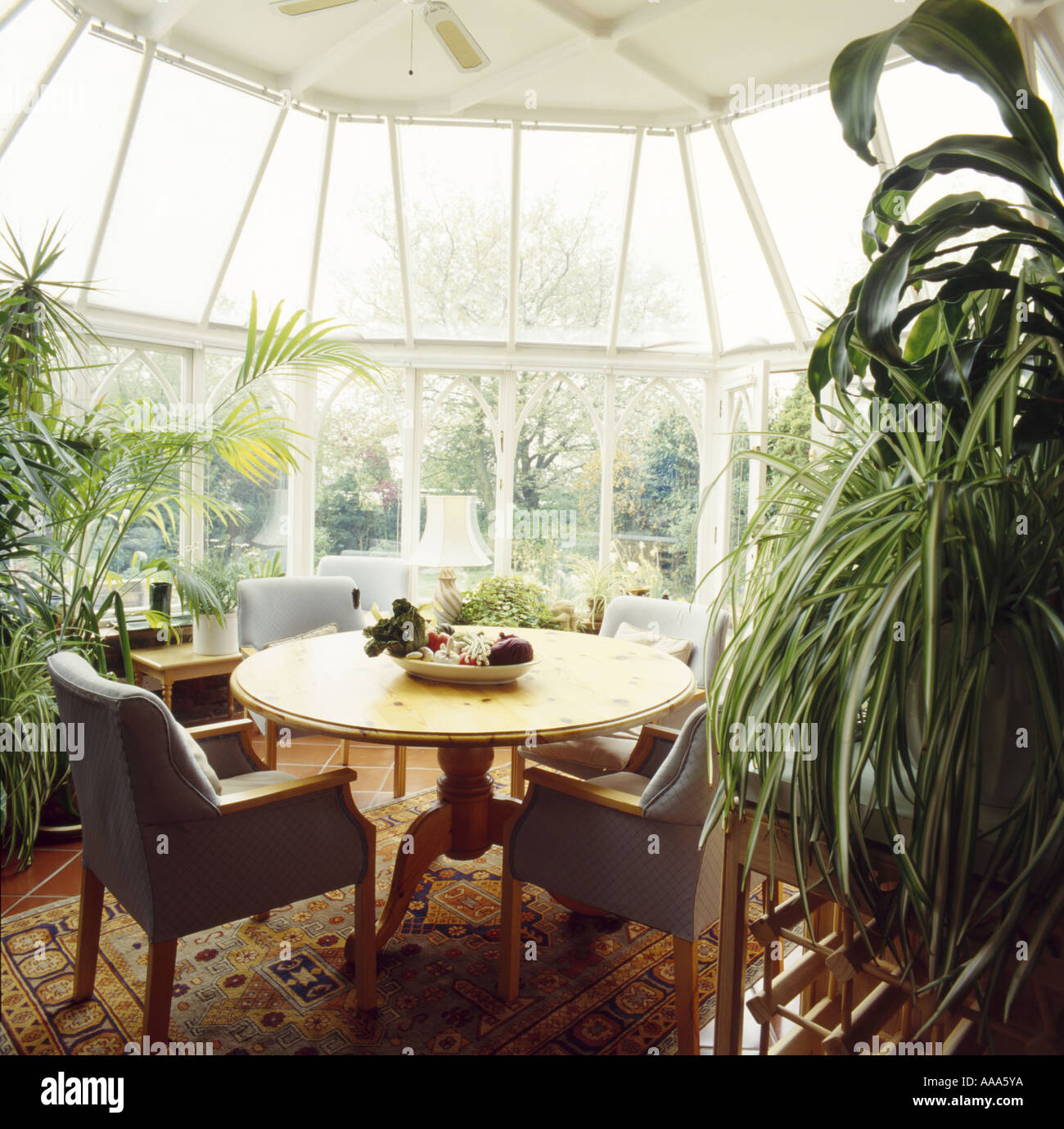 large conservatory with cane furniture and mature plants Stock Photo ...