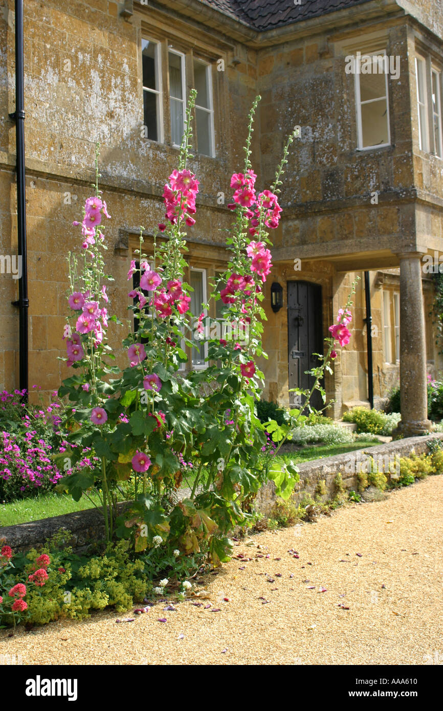 Hamstone hi-res stock photography and images - Alamy