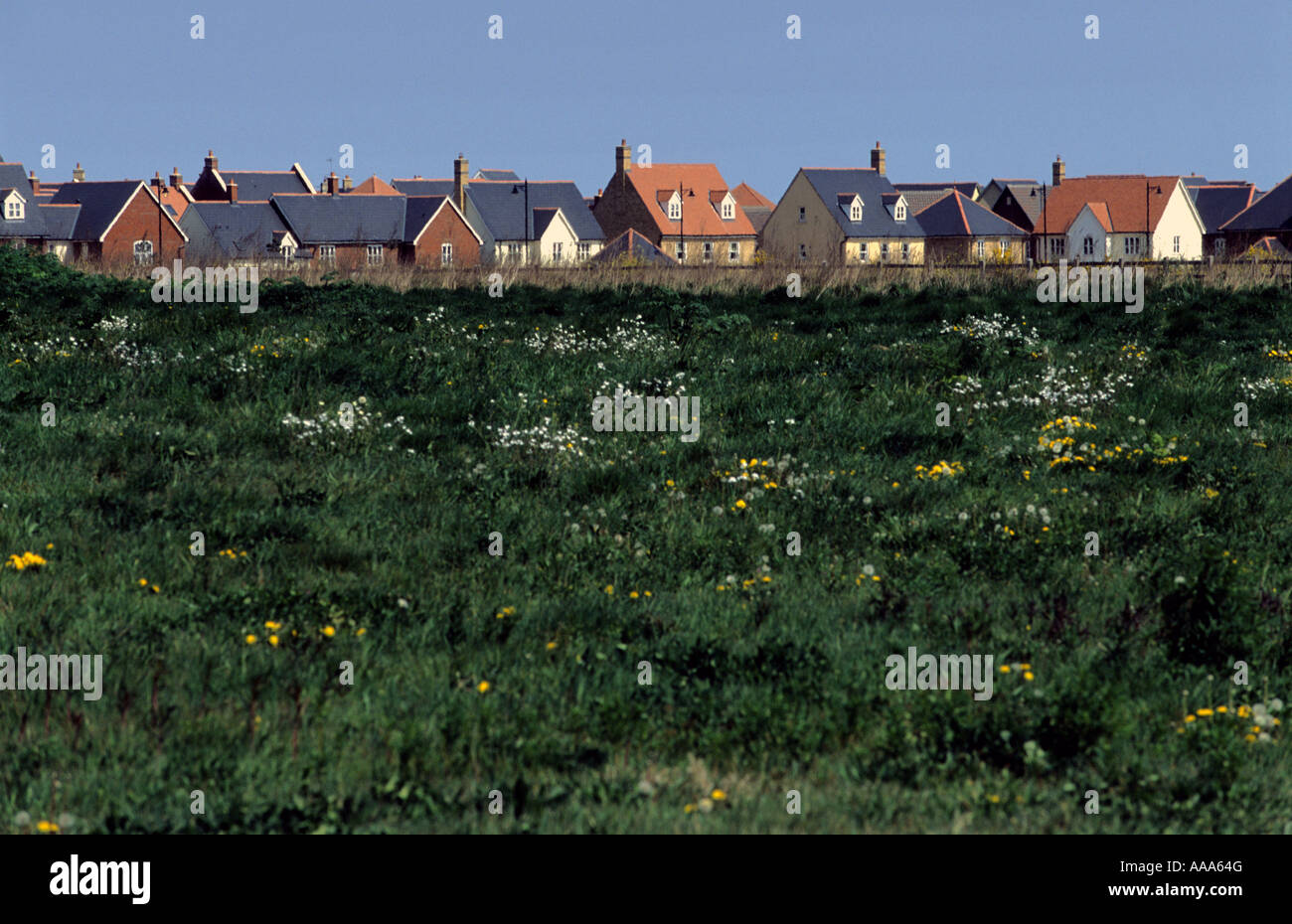 Ravenswood housing estate, Nacton, Ipswich, Suffolk, UK Stock Photo - Alamy