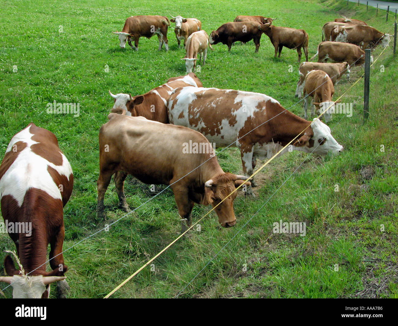 Lovely bavarian countryside hi-res stock photography and images - Alamy