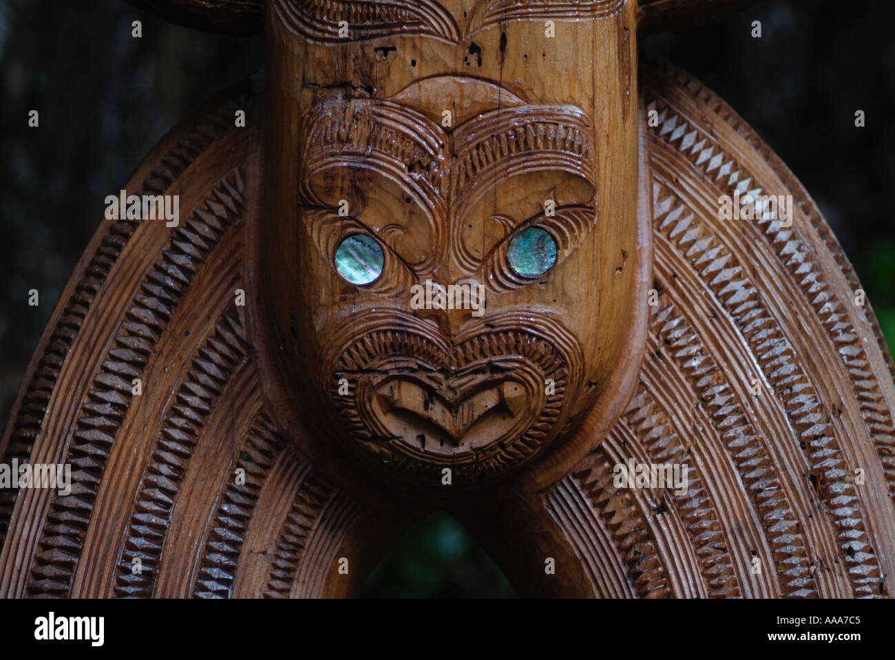 Loin of Tiriwa Stock Photo - Alamy