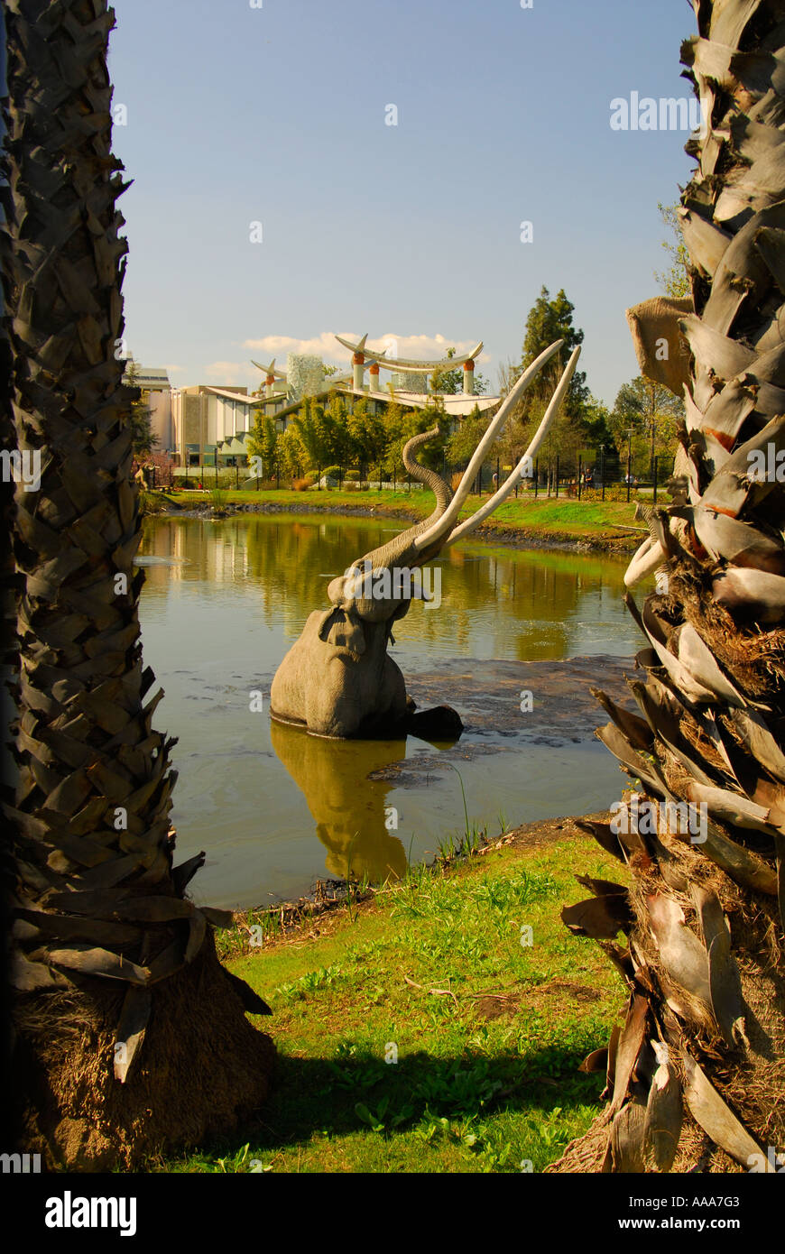 La Brea tar pits, los angeles, ca, usa Stock Photo - Alamy
