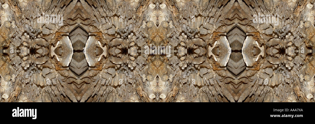 Cave Ceiling Texture, Languedoc, France (multiplication Stock Photo - Alamy