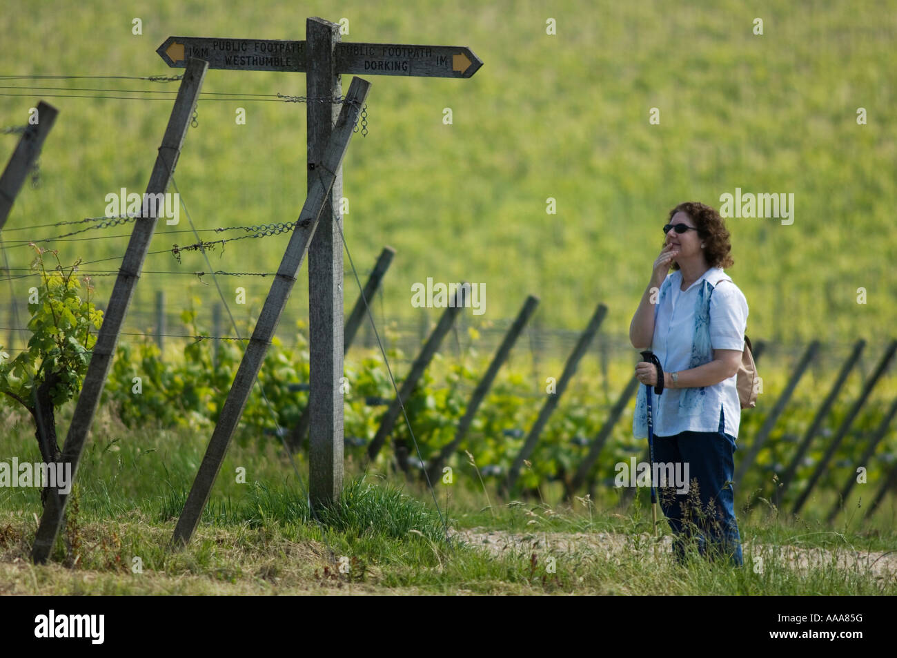 Woman direction signpost decision hi-res stock photography and images ...