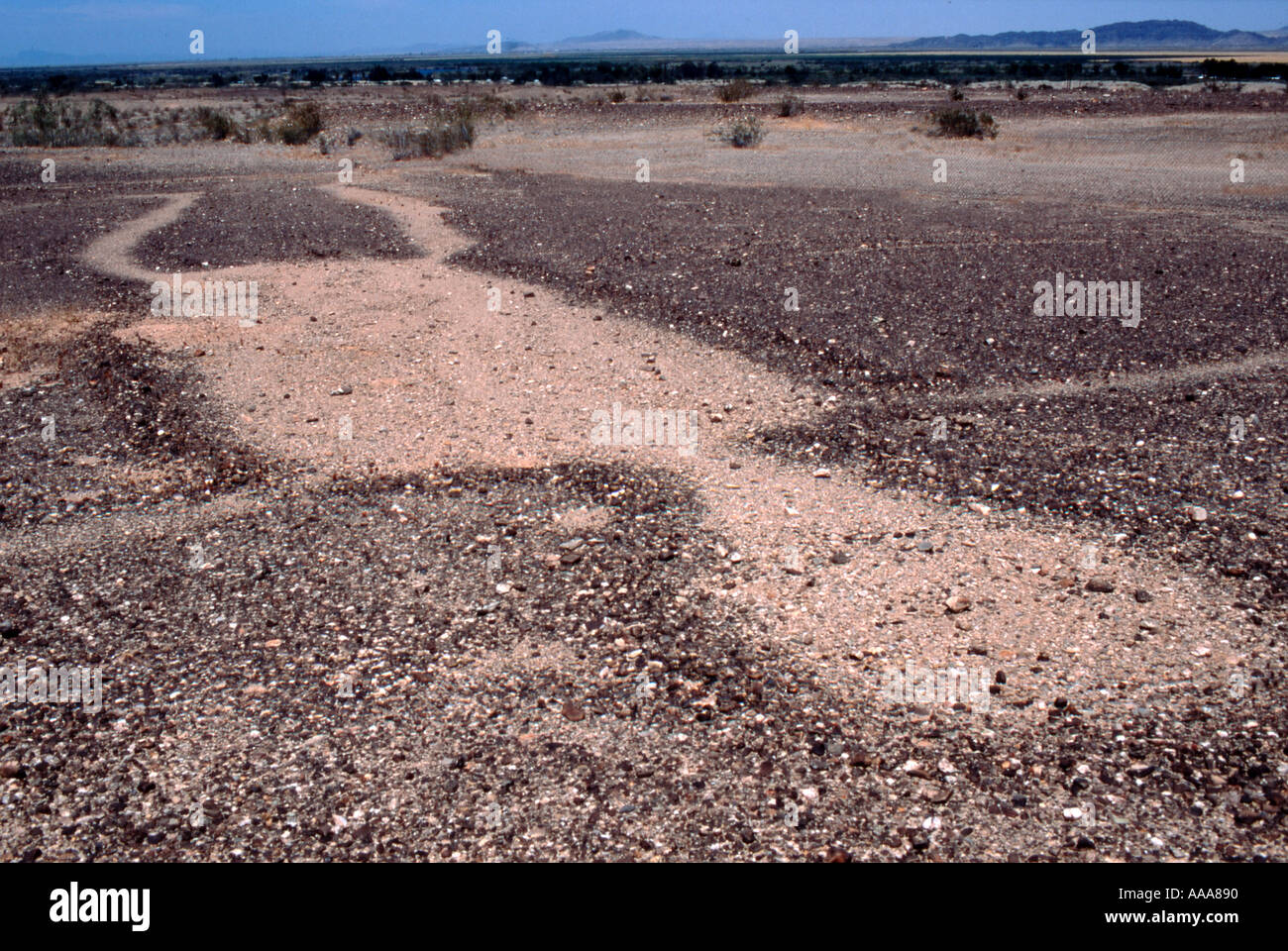 Native american indian intaglio drawings in Blythe California Stock ...