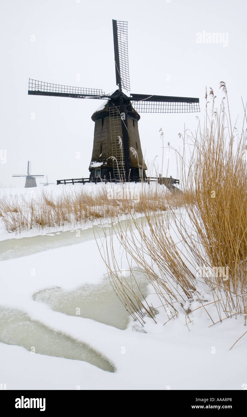 Winter wonderland - Dutch windmills in the snow Stock Photo - Alamy