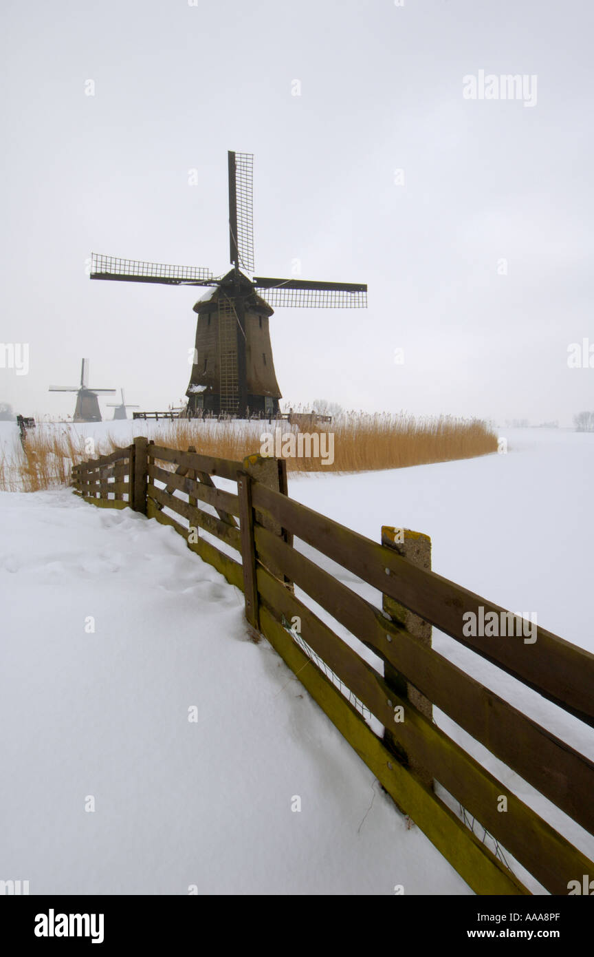 Winter wonderland - Dutch windmills Stock Photo - Alamy