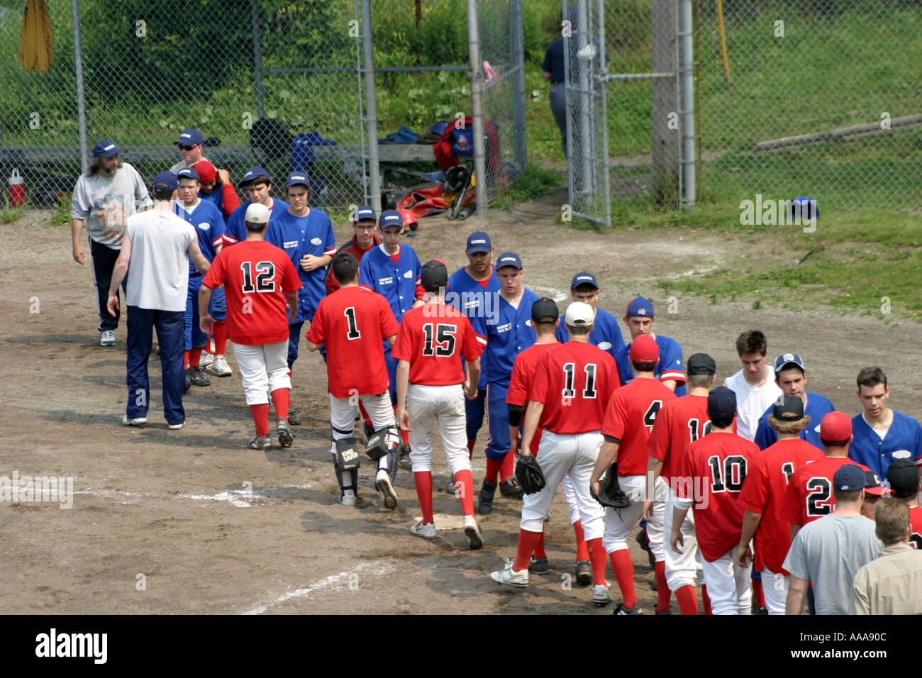 Baseball Team Shaking Hands
