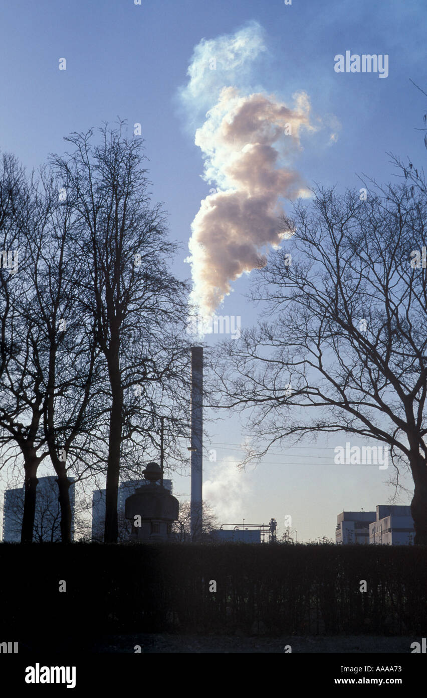 Smoking trees hi-res stock photography and images - Alamy