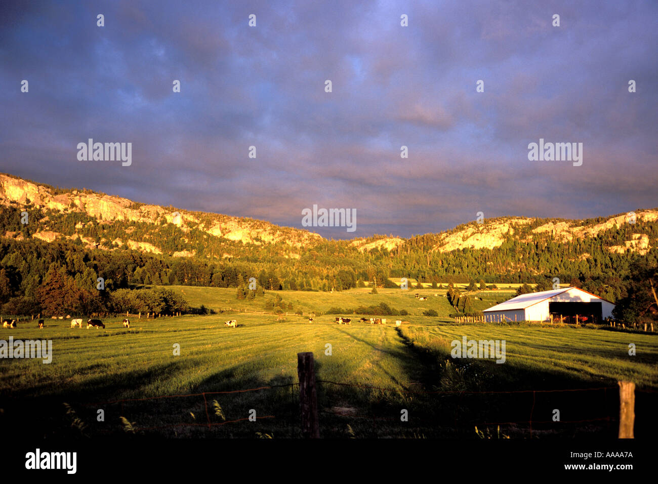 farmland in Quebec along the St Lawrence River with cliffs in the ...