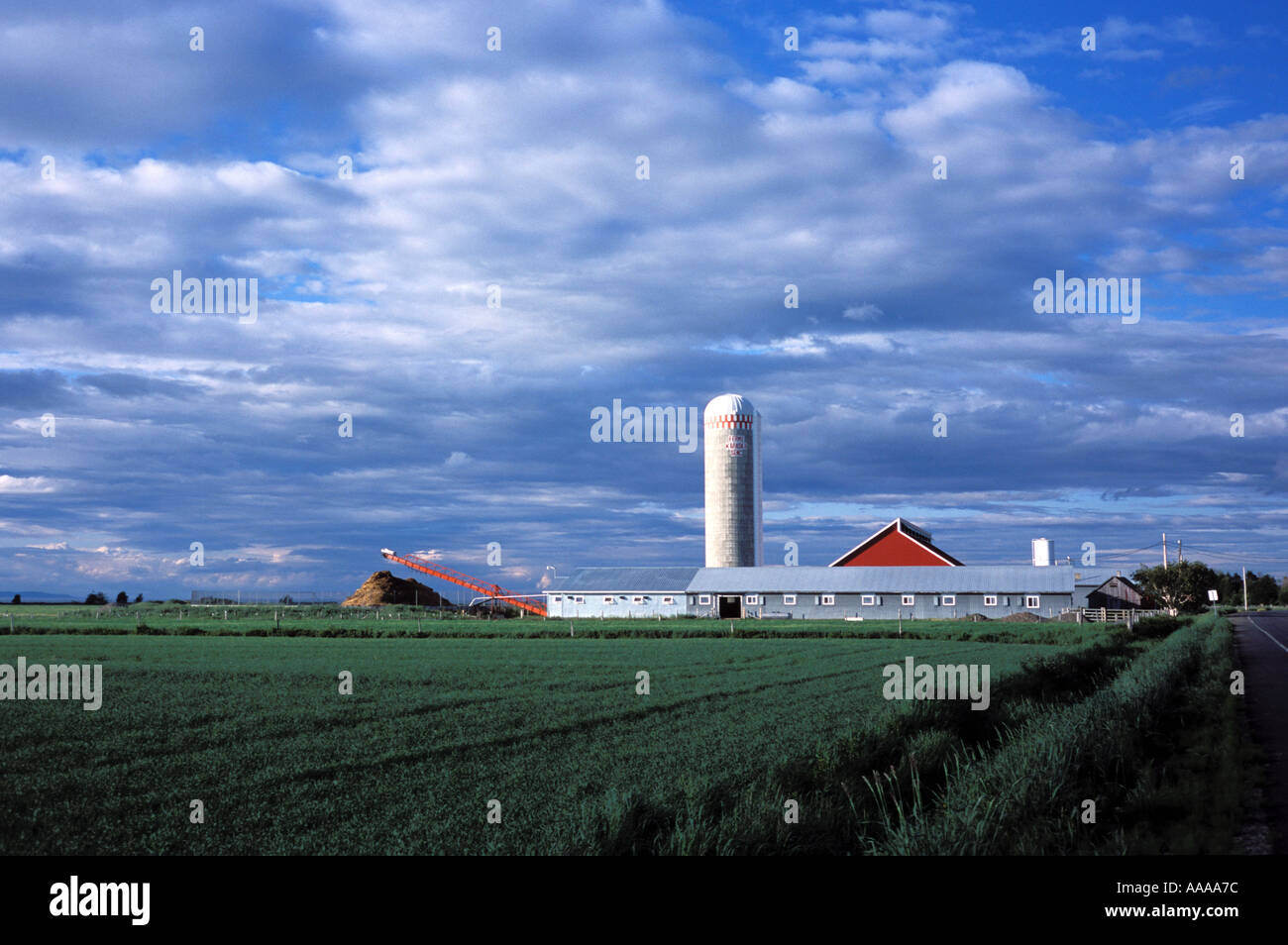 dairy farm and silo at sunset in Quebec Canada Stock Photo - Alamy