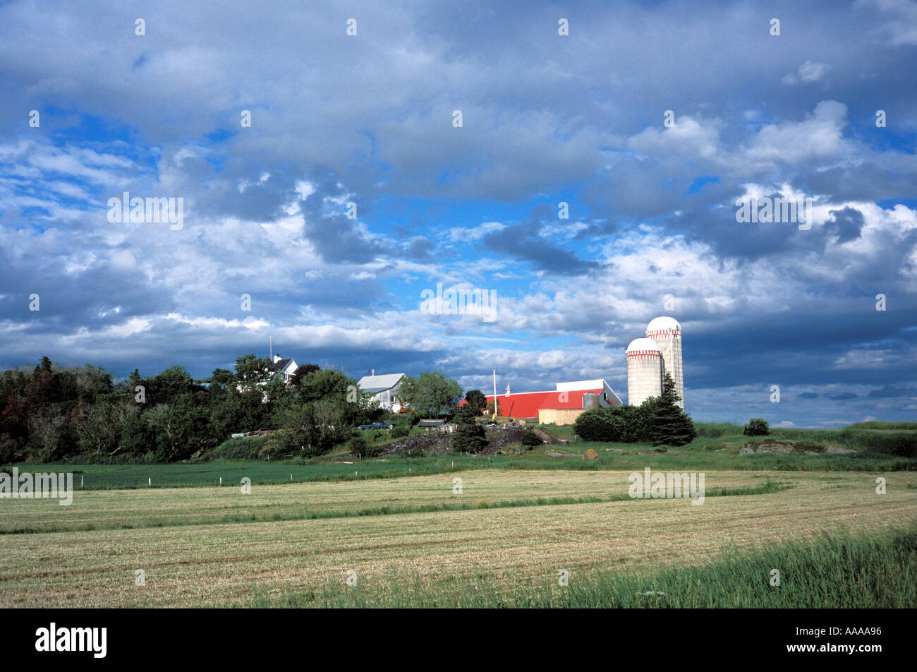 Dairy farm in quebec hi-res stock photography and images - Alamy