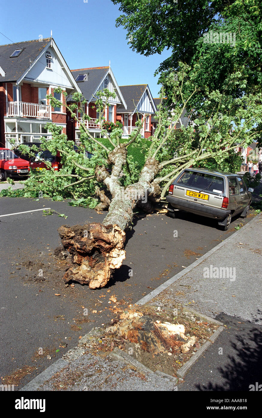 Near miss cars hi-res stock photography and images - Alamy