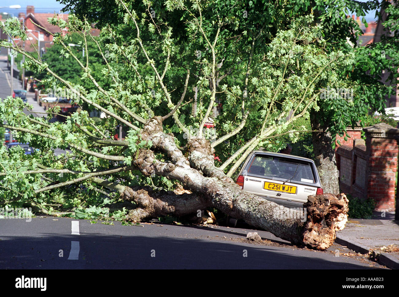Near miss cars hi-res stock photography and images - Alamy