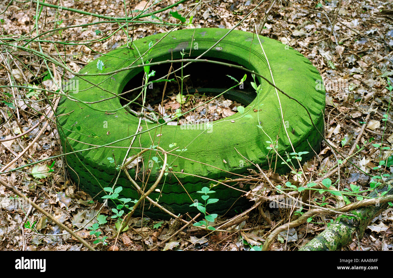 large lorry tyre covered in algae Stock Photo - Alamy