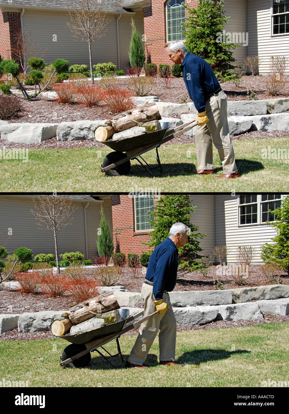Adult male with wheel barrow Showing the concept of pulling and pushing ...
