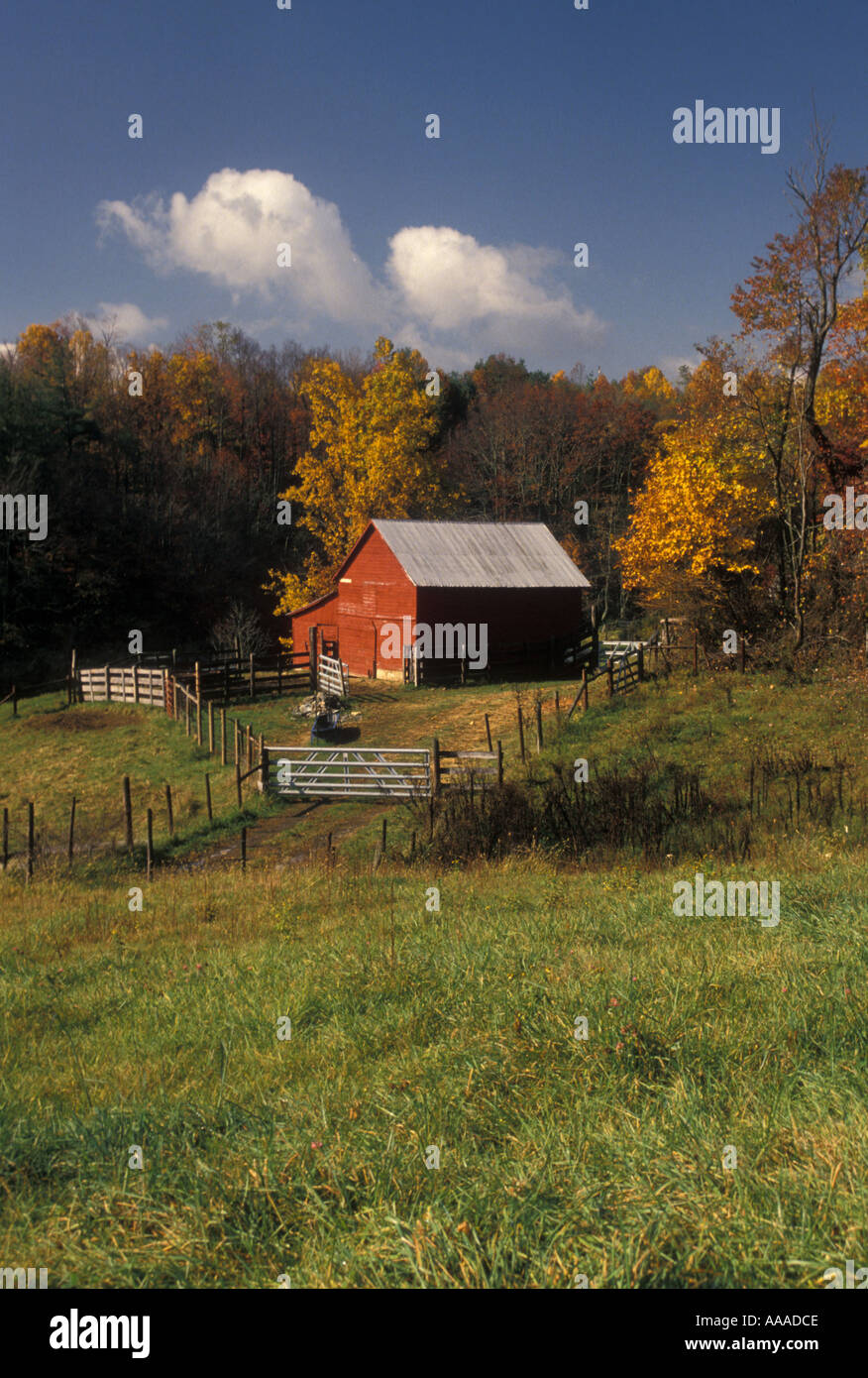 Virginia blue ridge mountains farm hi-res stock photography and images ...