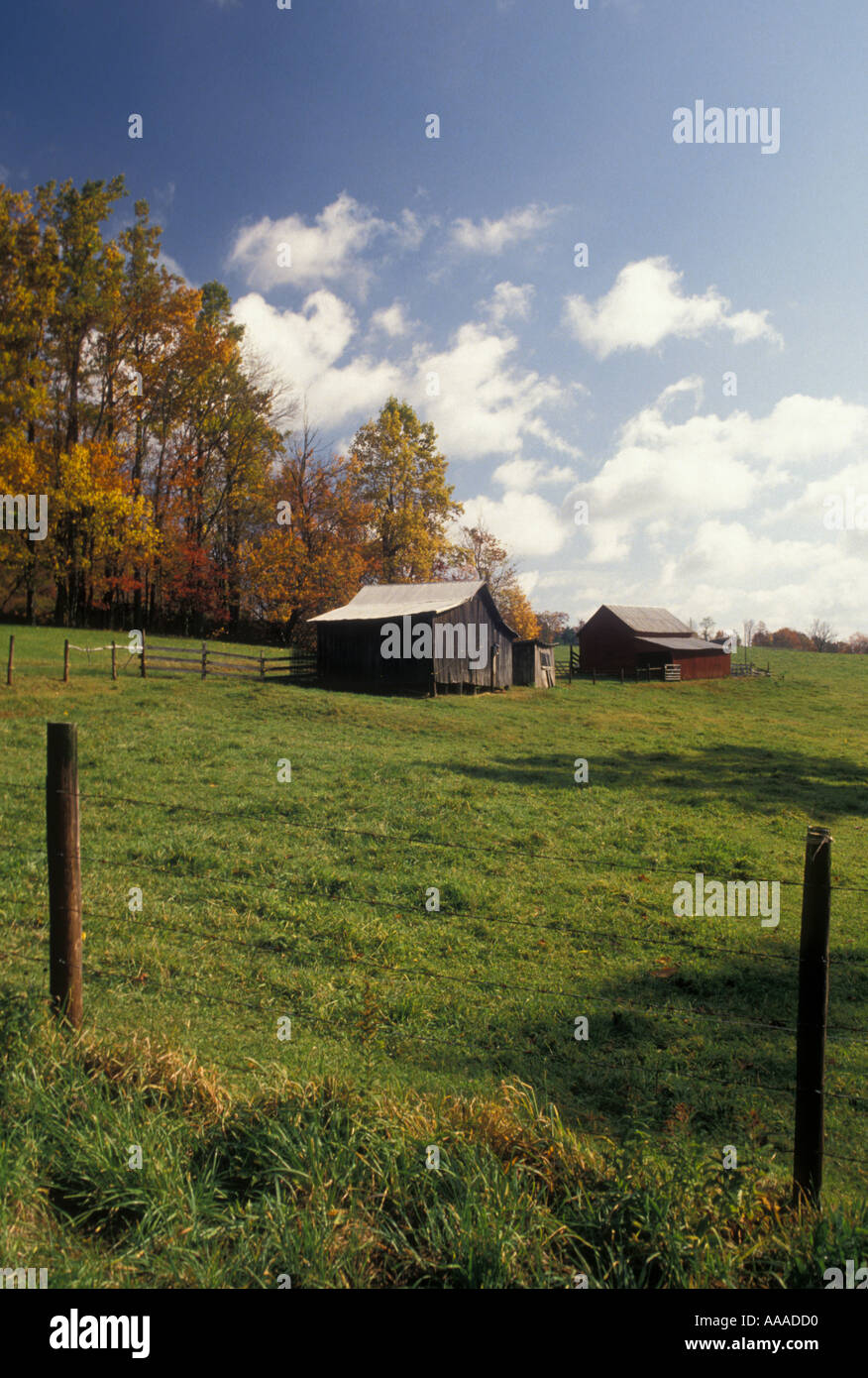 Virginia blue ridge mountains farm hi-res stock photography and images ...