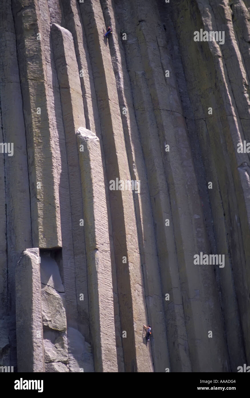 Rock mountain climbing on the face of Devil s Tower at Devils Tower ...