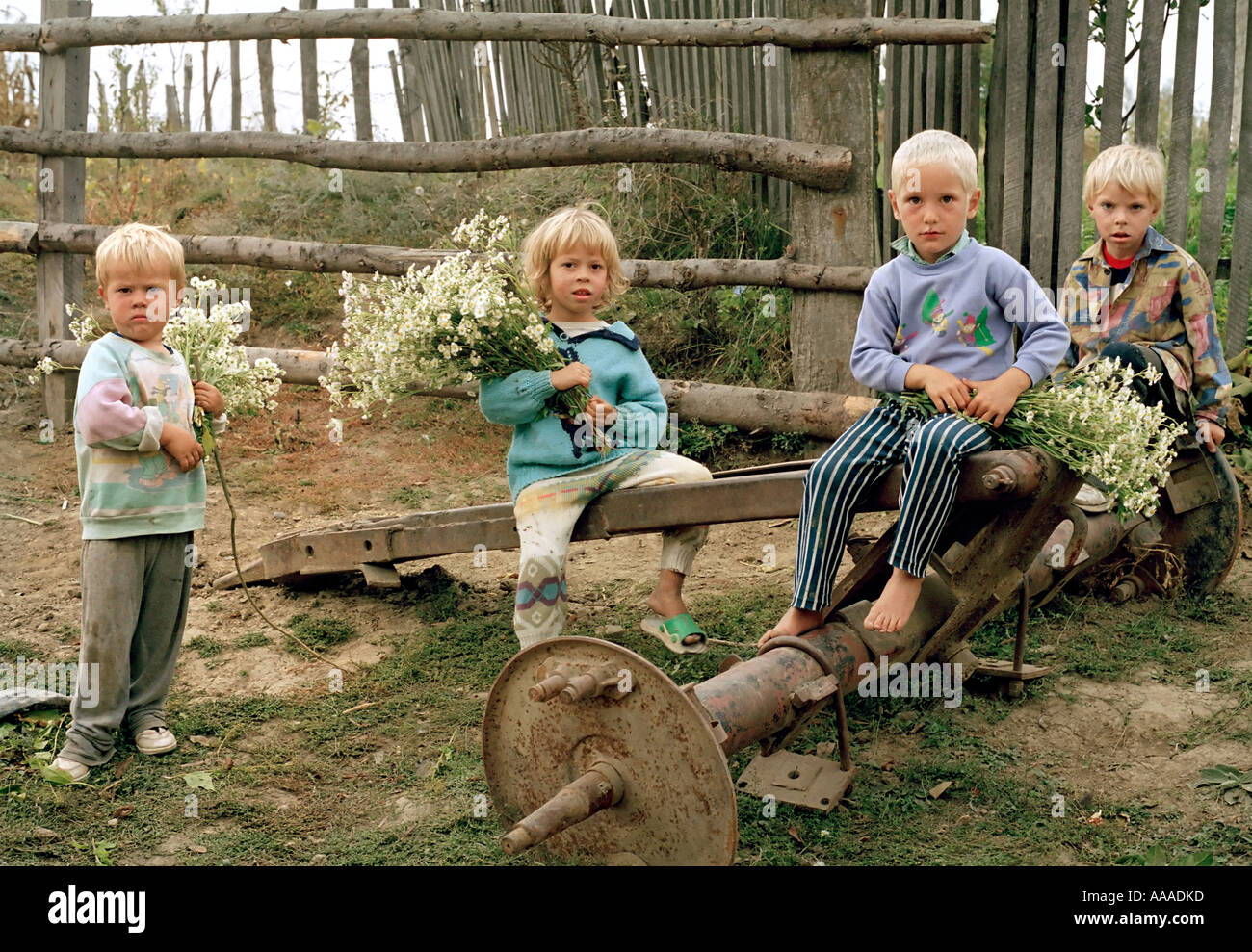 children with flowers in Romania Stock Photo - Alamy