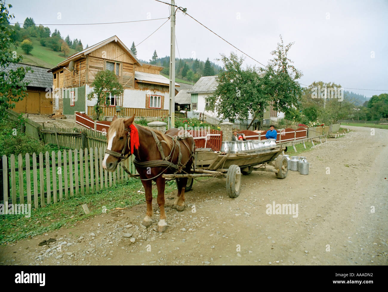 milk churn collection by horse and cart in Romania Stock Photo - Alamy