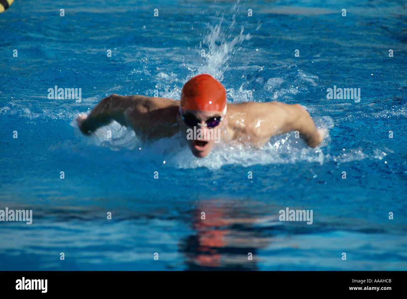 Swimmer butterfly portrait hi-res stock photography and images - Alamy
