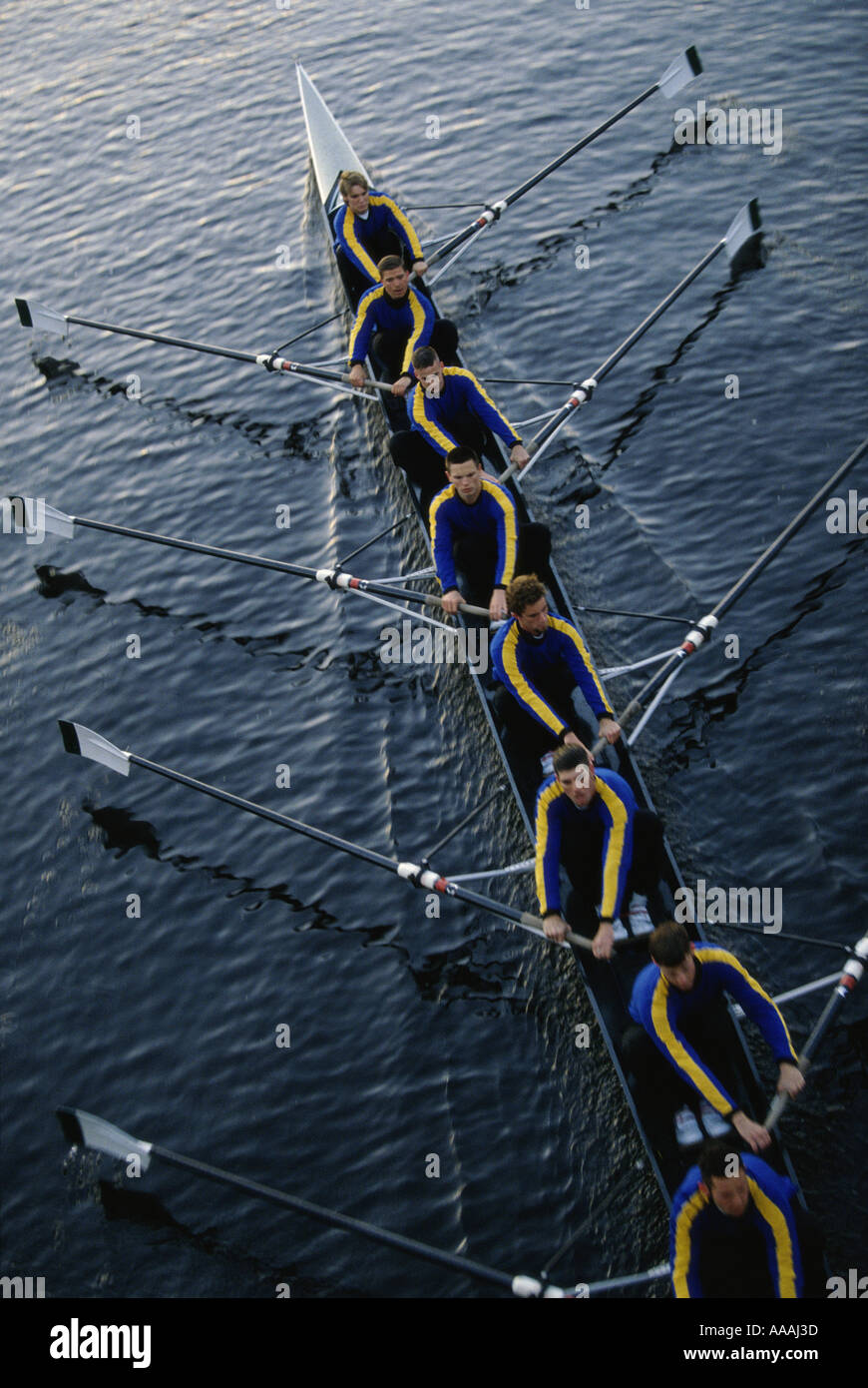 Team sport rowing Stock Photo - Alamy