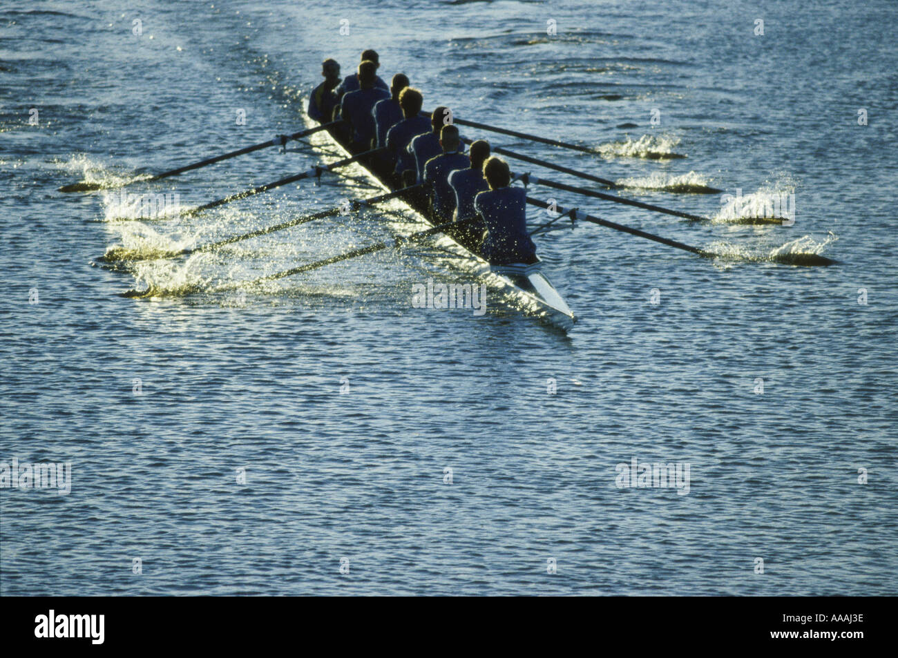 Team sport rowing Stock Photo - Alamy