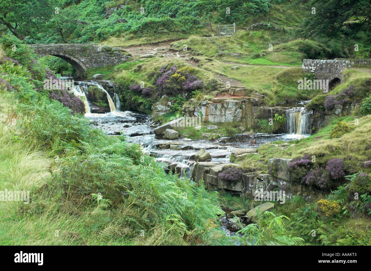 Three shires head hi-res stock photography and images - Alamy