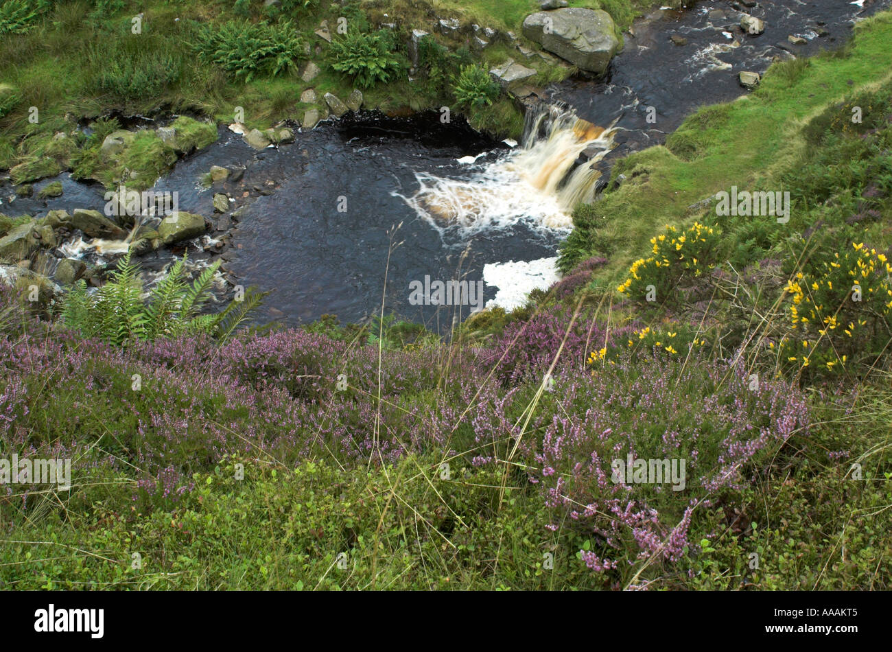 River Dane in the Peak District Stock Photo - Alamy