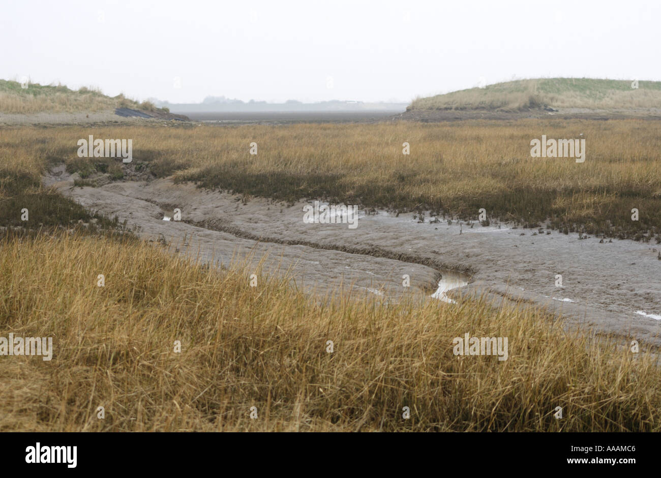 Freiston Shore UK Stock Photo - Alamy