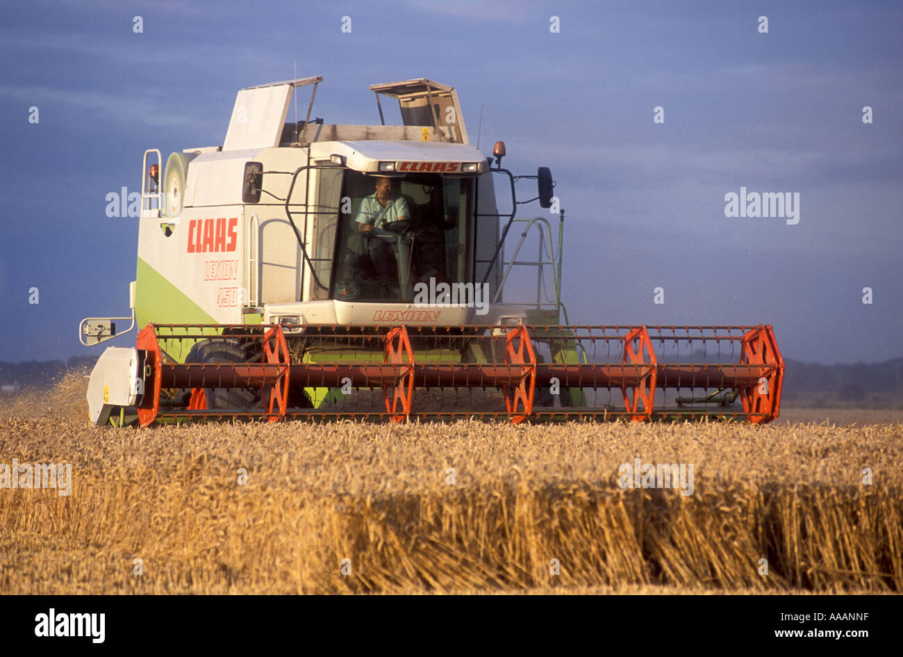 Combine harvesting wheat Stock Photo - Alamy