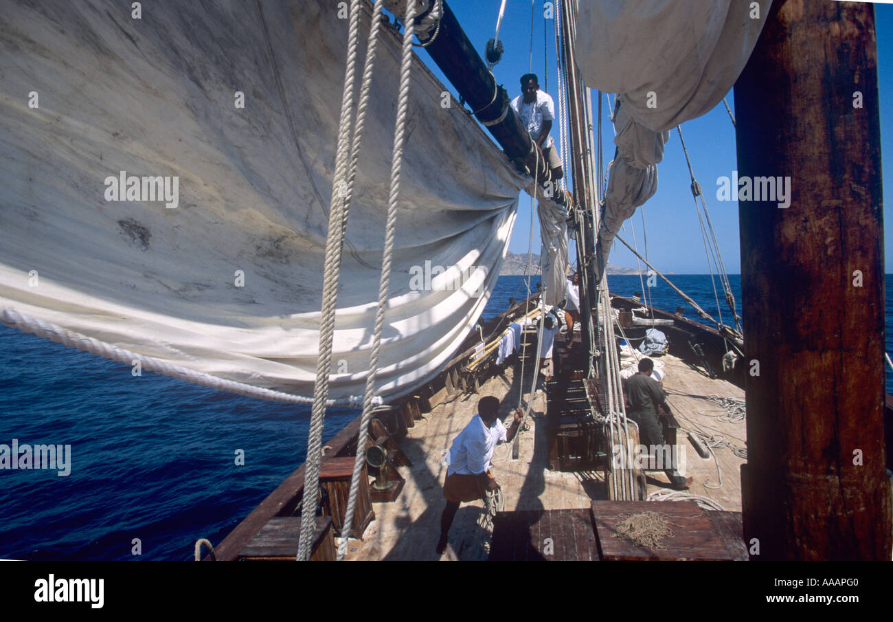 Crew of a traditional dhow set the sails, Oman Stock Photo - Alamy