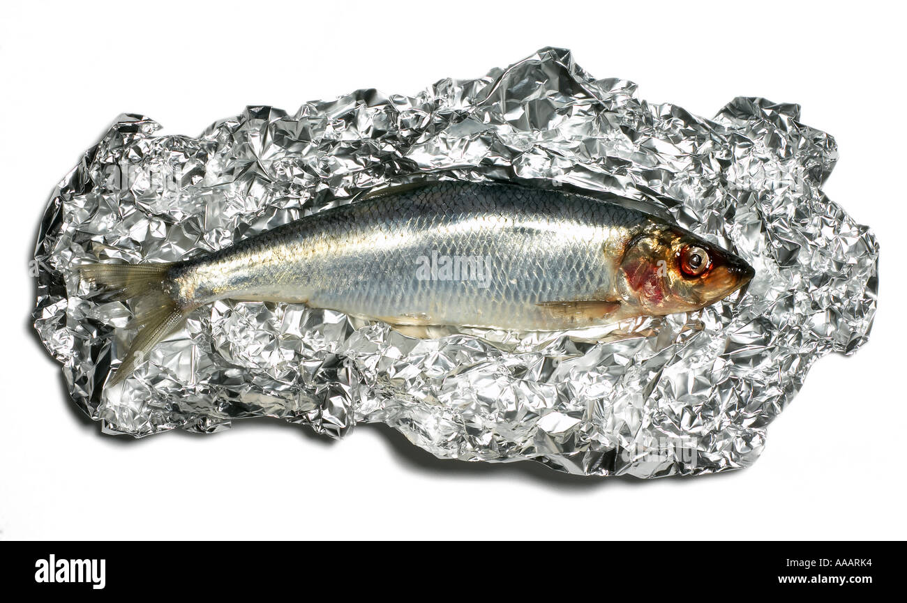 Fish cut out white Cut Out Stock Images & Pictures - Alamy