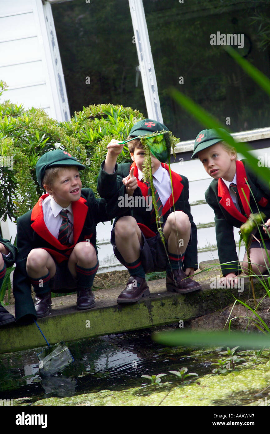 Three school children explore pond life Stock Photo - Alamy