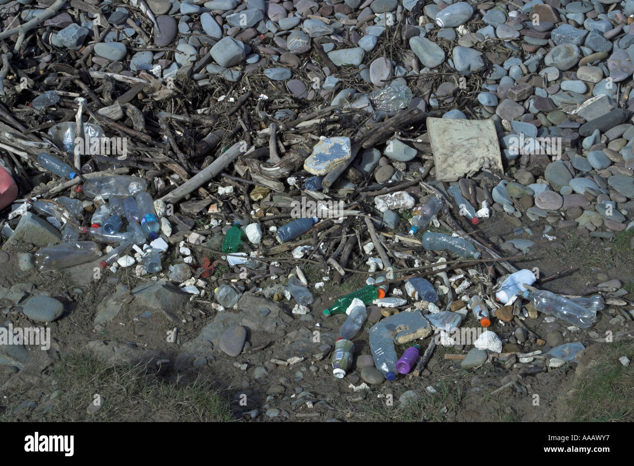 Rubbish on seashore strandline. Quantock's Head. Somerset. England ...