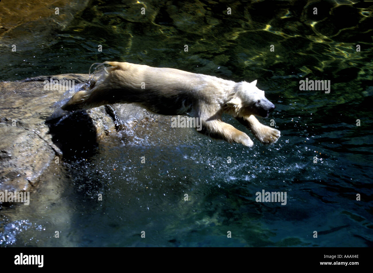 Berit hi-res stock photography and images - Alamy