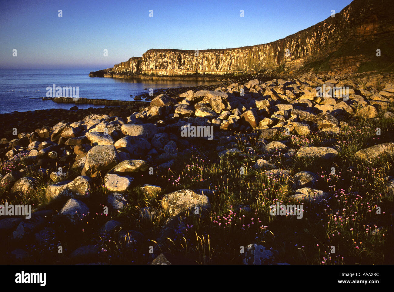 Embleton Bay, Northumberland, England Stock Photo - Alamy