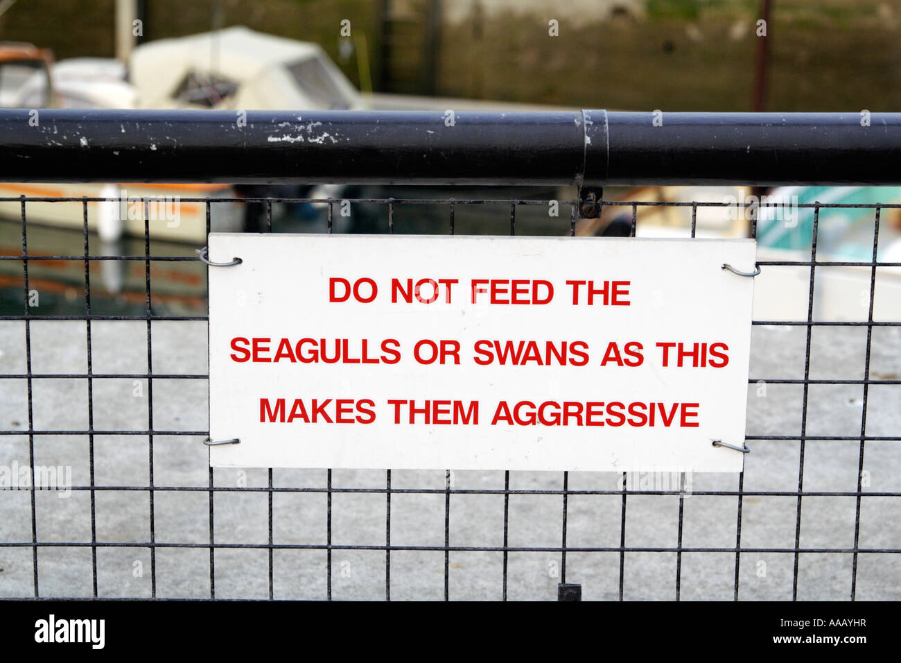 Seagull Warning Sign High Resolution Stock Photography and Images - Alamy