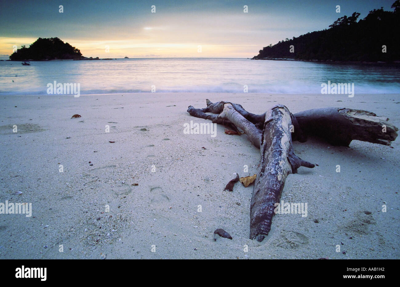 Breaking off branch hi-res stock photography and images - Alamy