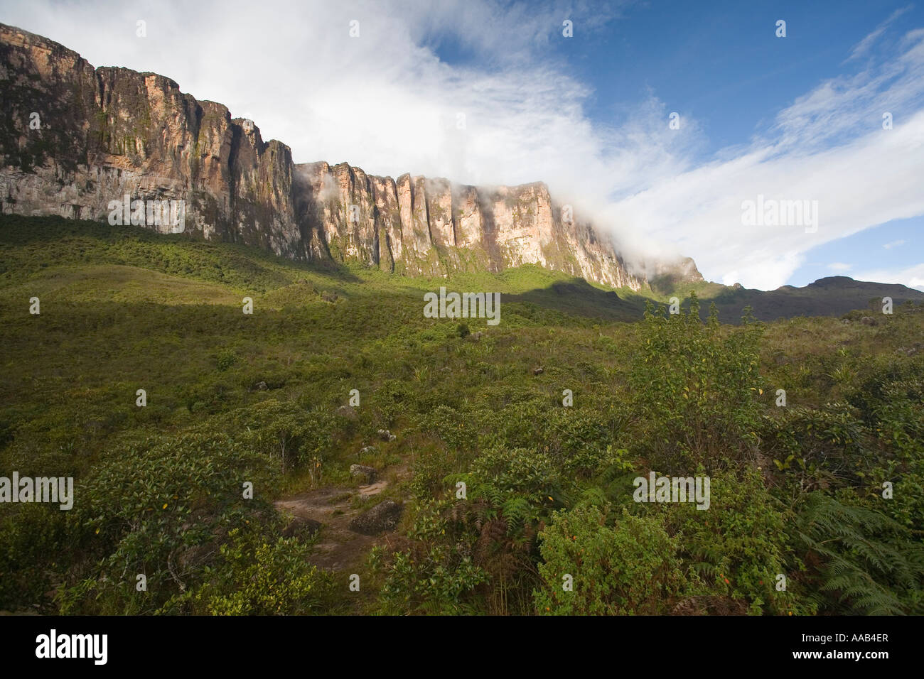 View of the 1km high walls of Roraima Tepuis, Venezuela Stock Photo - Alamy