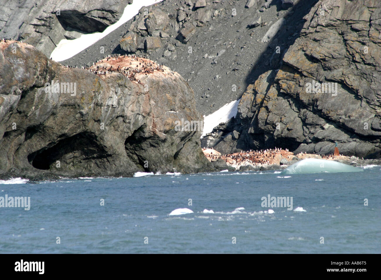 Historic Elephant Island, Antarctica is the site of Sir Ernest ...