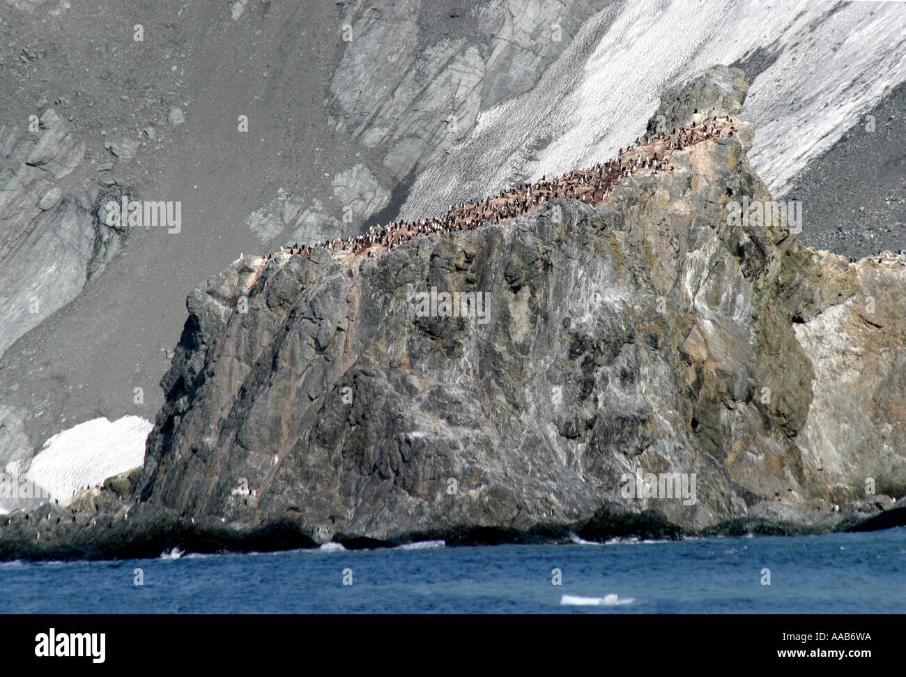 Historic Elephant Island, Antarctica is the site of Sir Ernest ...