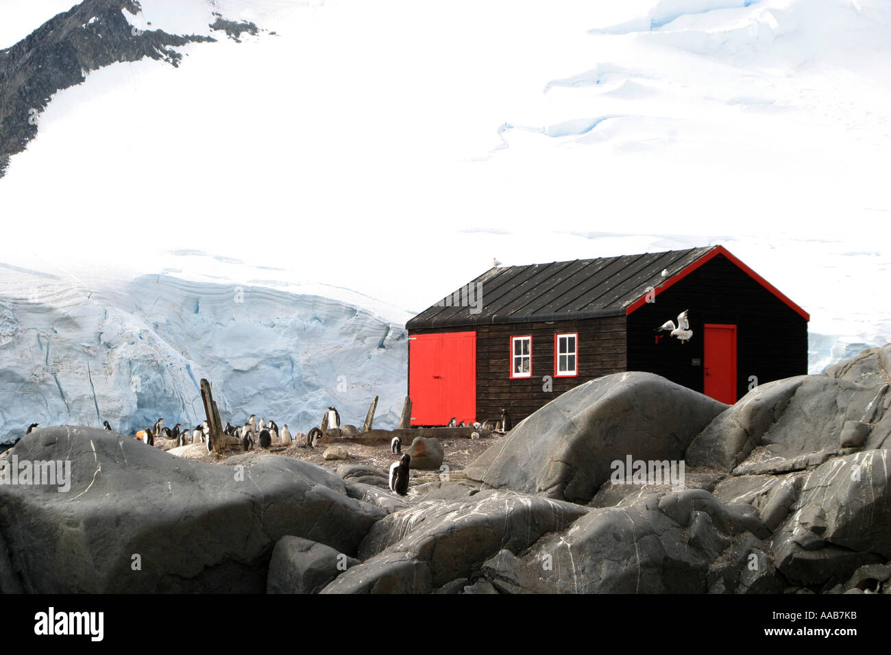 Red and brown refuge hut on the spectacularly beautiful Wiencke Island ...