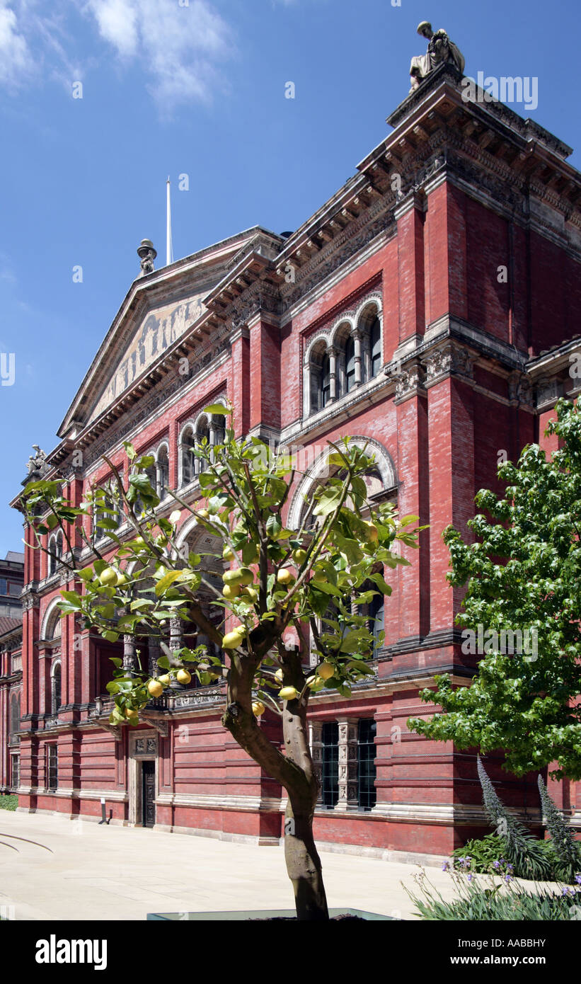 Lemon tree in the Pirelli Garden Victoria and Albert Museum Cromwell ...