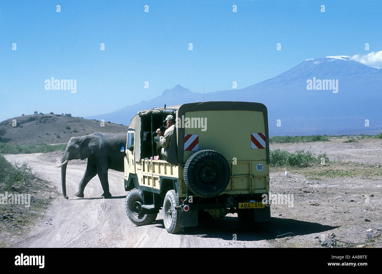 Safari vehicle in front elephant hi-res stock photography and images ...