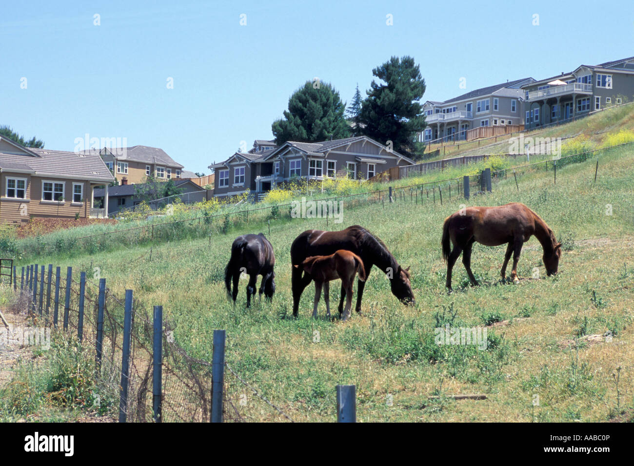 Housing construction development Stock Photo - Alamy