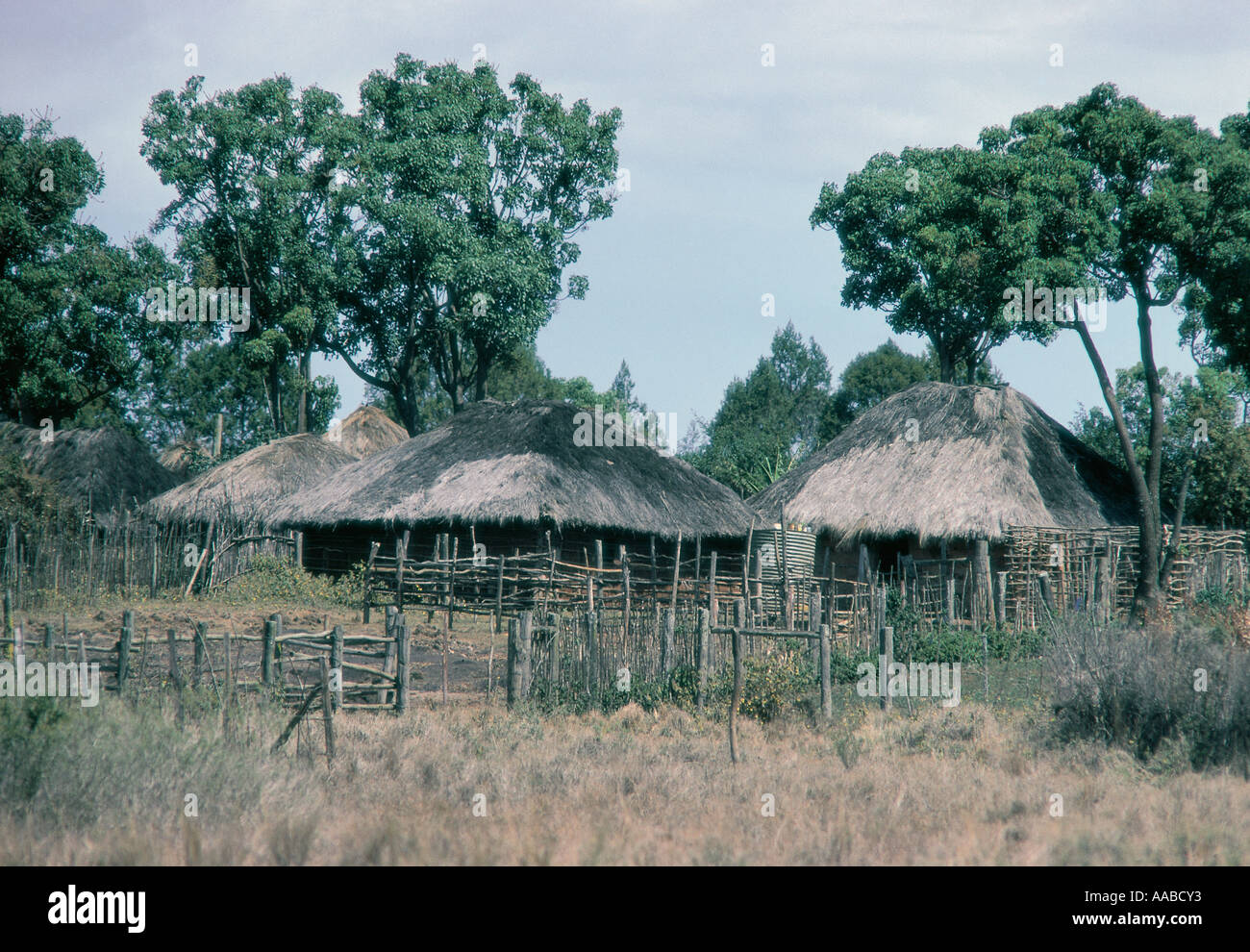 Traditional Kikuyu small holding of several huts Central Province Kenya ...