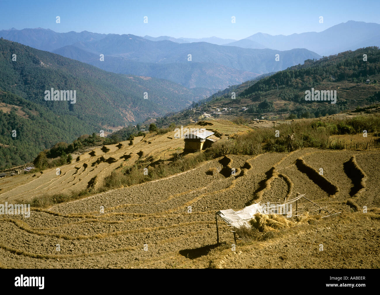 Bhutan farm near Dochu La Pass Stock Photo - Alamy