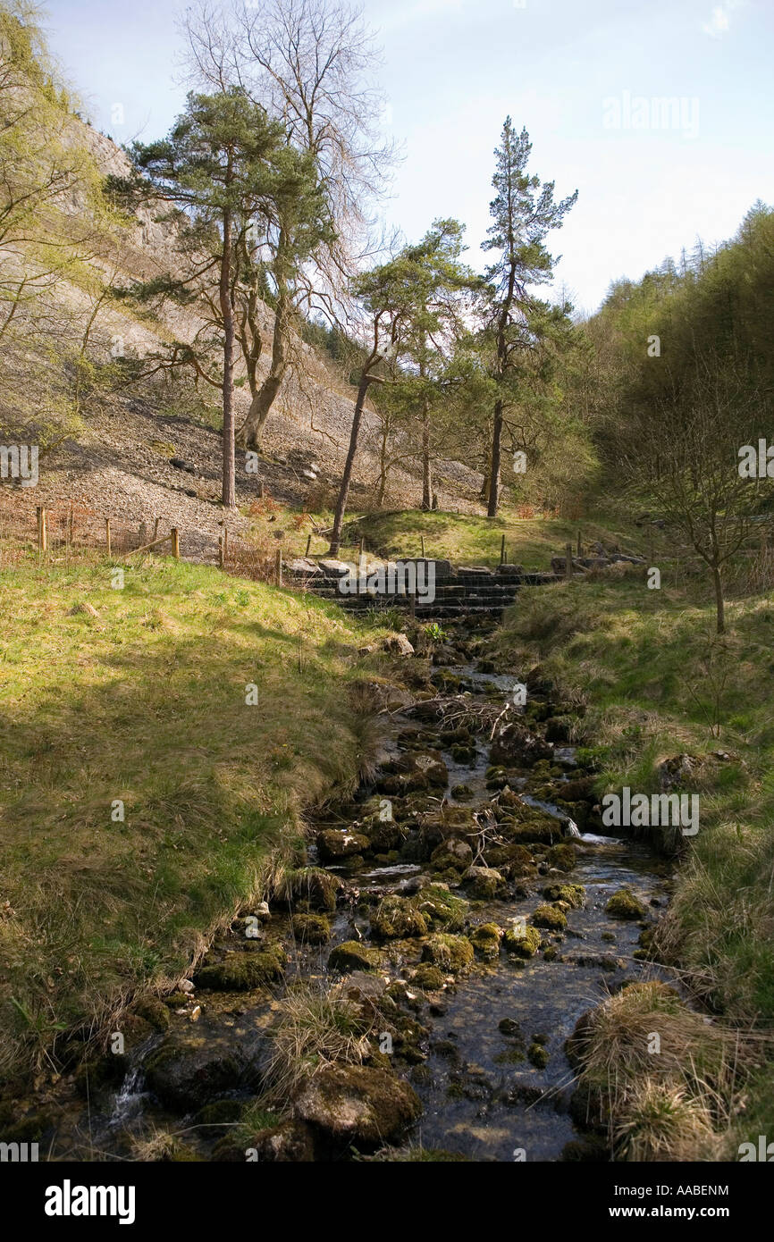 UK Wales Clwyd Eglwyseg stream flowing down from Esclusham Mountain ...